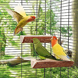 Ipetboom Bird Wooden Perches Platform, 7 Pcs Natural Wood Bird Perch Parrot Cage Perch Wooden Parrot Stand Parrot Stand Branch
