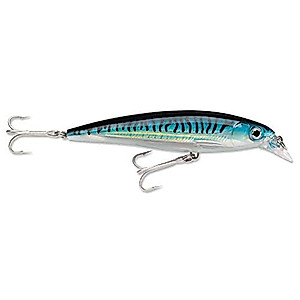 Rapala X-Rap Saltwater Fishing Lure (Blue Sardine, Size- 4)