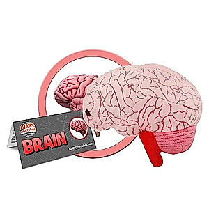 GIANTmicrobes Brain Plush, Brain Toy, Brain Stuffed Animal, Brain Gifts For Neurologist, Brain Surgery Recovery Gifts, Neurology Gifts, Neuroscience Gifts, Brain Injury Gift, Brain Decor, Biology Gift