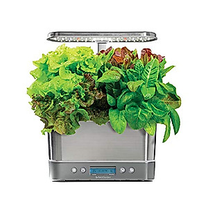 AeroGarden Harvest Elite - Stainless Steel & Heirloom Salad Greens Seed Pod Kit, 6