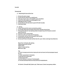 Red Lion Amaryllis Kit - Great Gift - Large Bulb, Pot and Potting Medium