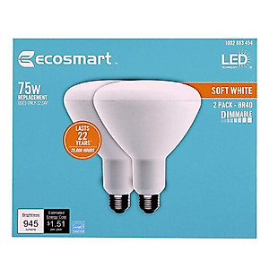 EcoSmart 75-Watt Equivalent BR40 Dimmable Energy Star LED Light Bulb Soft White (2-Pack)