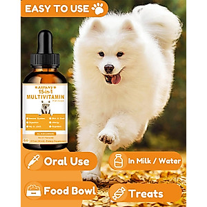 15 in 1 Multivitamin for Dogs | 60ML Dog Multivitamin Liquid Support Joint, Gut & Immune Health | Dog Liquid Vitamins for Digestion, Heart, Skin & Coat | Vitamin Supplements for Dogs | Bacon Flavor