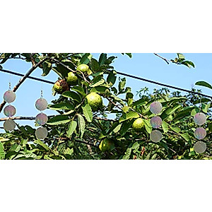 FIAMER Birds Bar Garden Farm Garden Bird Repeller Outdoor Multi-Purpose Courtyard Decoration Birds Reflective Shock Scare to Protect Grain Farmland Wind Sculptures & Spinners (8pcs)