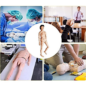 SHENGANG Female, Male PVC Patient Care Manikin Training CPR Simulator Basic Nursing Skills Geriatric Human Model for Medical Nursing Training Manikin, Life Size,Male