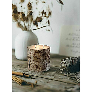 Serene Spaces Living Birch Bark Candle – Pillar Style Candle Brings Nature Indoors, Ideal for Weddings, Parties, Events, Restaurants, Home Decor, 6" in Diameter & 6" Tall