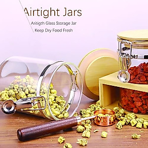 Matifaner Glass Coffee Storage Containers with Measuring Spoon, Airtight Food Storage jars with Lids, Glass Coffee Canister with Shelf and Scoop for Coffee,Sugar, Loose Tea, Set of 2 (27OZ×2P)