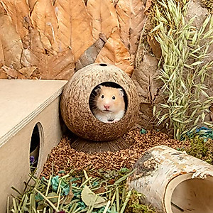 andwe Coconut Hut Hamster House Bed for Gerbils Mice Small Animal Cage Habitat Decor