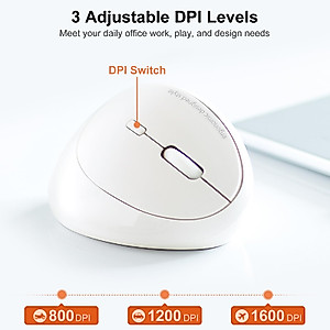 SANWA 2.4G Wireless Ergonomic Mouse White, Vertical Optical Ergo Mouse Small Hands, Cordless Mice for Wrist Pain, 800/1200/1600 DPI, 5 Buttons, Compatible Mac, Windows, PC, Desktop