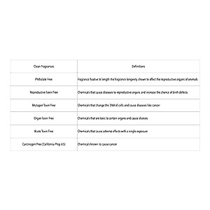 Ladybug Spot Luxurious Rich Classic Long Lasting Masculine Natural Solid Cologne Infused with Essential Oils for Men & Woman 1 OZ Large Size (Sandalwood & Patchouli)