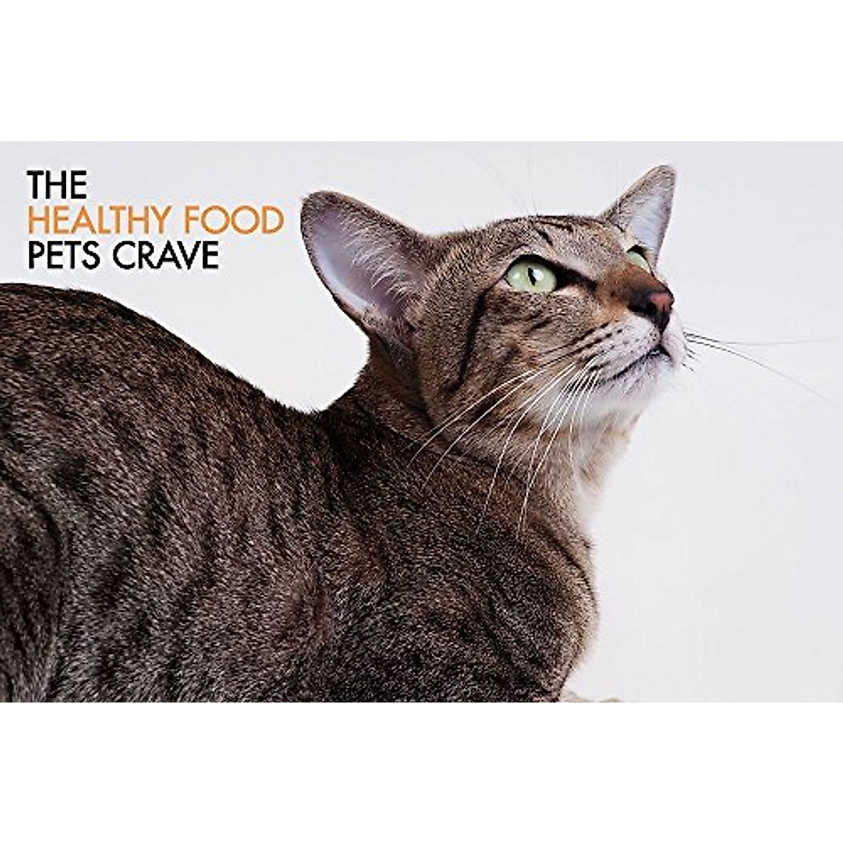 Addiction Grain-Free Duck Royale Entrée Dry Cat Food, Feline Beauty Formula Healthy Weight, Skin and Coat Health, Crafted in New Zealand - 4 lb