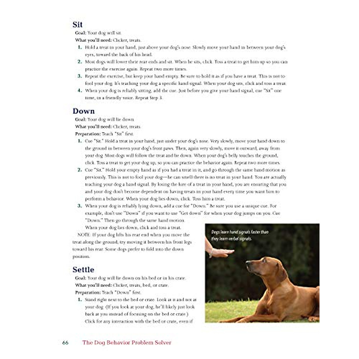 The Dog Behavior Problem Solver: Step-by-Step Positive Training Techniques to Correct More than 20 Problem Behaviors (CompanionHouse Books) Fix Barking, Separation Anxiety, Chewing, Begging, and More