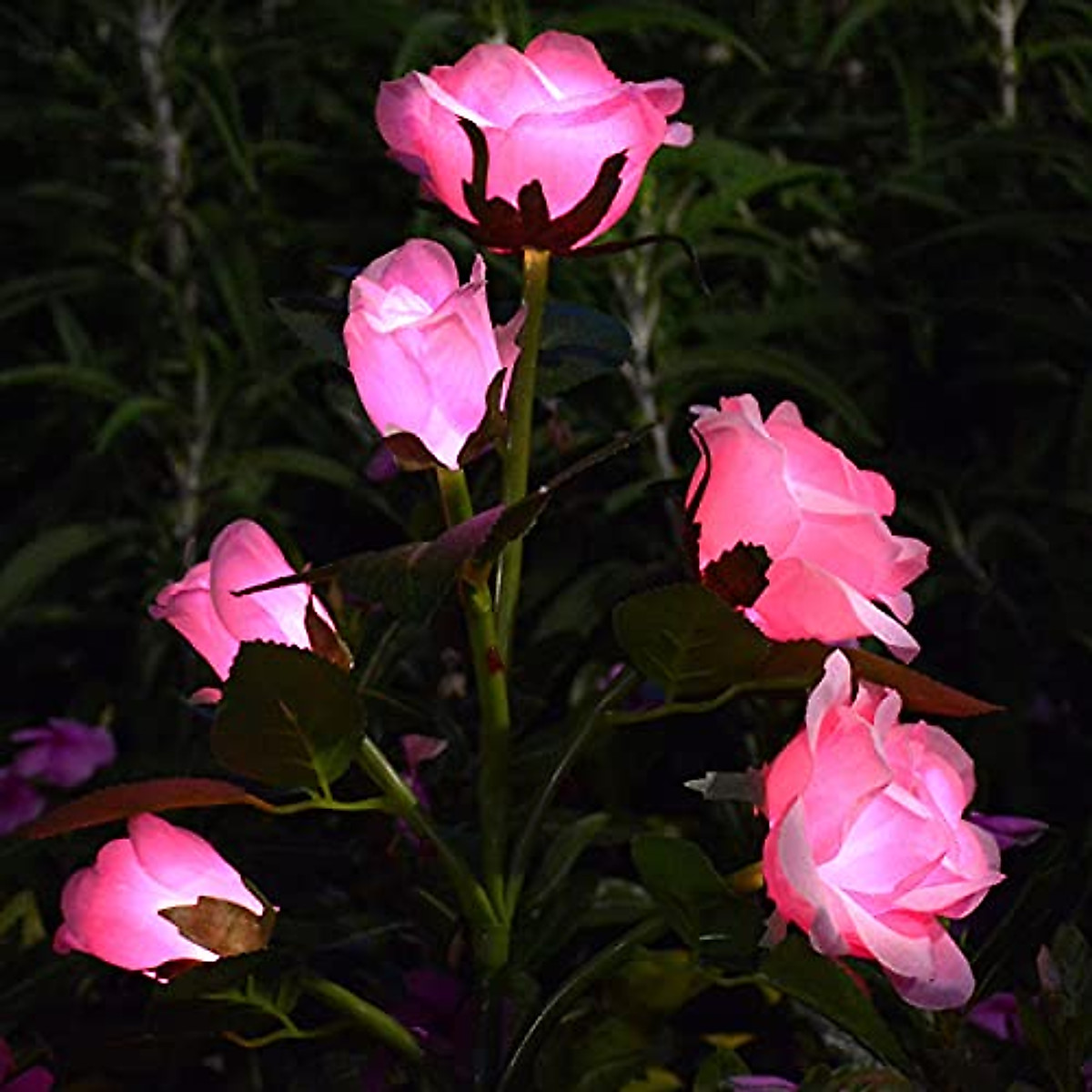 Upgraded 6 Rose Flowers Solar Garden Stake Lights, Outdoor Decorative Solar Flower Lights,Waterproof Solar Flower Stake Lights for Patio Yard Courtyard Pathway Cemetery Graveside (Pink)