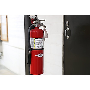 Amerex B456 ABC Dry Chemical Fire Extinguisher with Aluminum Valve, 10 lb. by Amerex Corporation