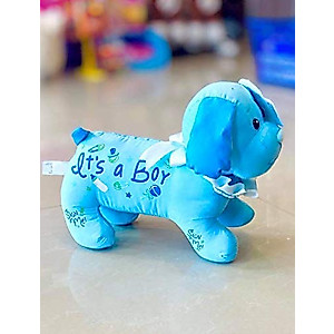 Amscan 21907.44 It's A Boy Autograph Hound, Blue, 9" x 16"