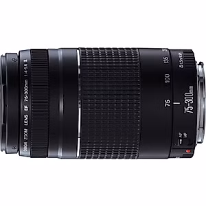 Canon EF 75-300mm f/4-5.6 III Telephoto Zoom Lens for Canon SLR Cameras (Renewed)