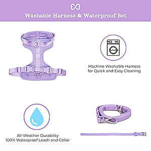 Dog Harness and Leash Set | BearBone No Pull Dog Harness and Waterproof Dog Collar and Leash Set | Heavy Duty Dog Harness, Leash and Collar | Medium Dog Harness, Leash and Collar (Lilac, Medium)
