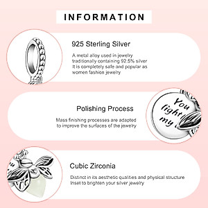 MITSOKU 925 Sterling Silver Charms for Bracelets Necklaces Glow-in-the-dark Firefly Dangle Pendants Beads Charms Jewelry Gift for Women