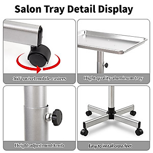Salon Tray Cart,Aluminum Instrument Salon Tray on Wheels,Height Adjustble Storage Utility Cart,Hair Salon Tray,Tattoo Tray on Wheels