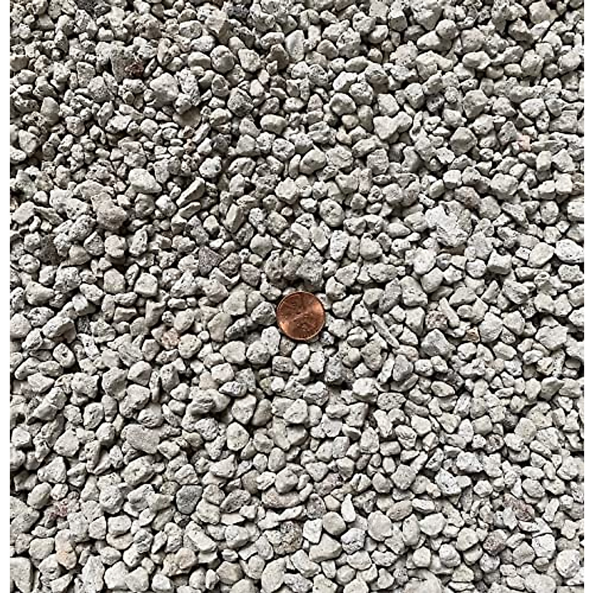 1 Quart 3/8" Medium Grain Horticultural Pumice for Cactus & Succulent, Garden House Plant, Bonsai Tree Soil Mix