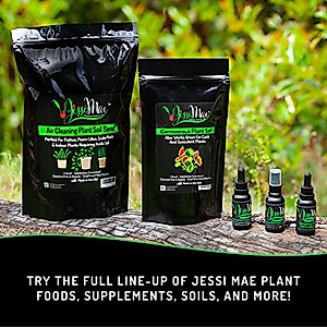 Jessi Mae - Air Cleaning Plant Soil - Acidic Organic pH Balanced Potting Soil - for Peace Lily, Snake Plant, Pothos, Parlor Palm, and Other Indoor Plants - Well-Draining Potting Soil - 4 Quarts