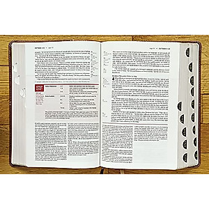 NIV, Life Application Study Bible, Third Edition, Leathersoft, Brown, Red Letter, Thumb Indexed