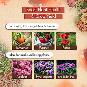 Muriate of Potash 0-0-60 Fertilizer, High Potassium Fertilizer for Plants, Ideal Plant Food & Potash Fertilizer for Plants - Boosts Growth of Turf, Shrubs, Trees, Flowers, Fruits & Vegetables, 5 lb