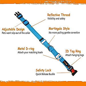 JuWow Nylon Martingale Collar, Adjustable Pet Slip Collar with Breakaway Buckle for Medium Large Dogs, Reflective Stitching Collar for Safe Training Walking (Large:17-22" * 1", Blue)