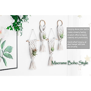 Melphoe 4 Pack Air Plants Holders Air Fern Macrame Plant Hanger Indoor Hanging Planter Basket for Tillandsias Display Air Plant Stand, Boho Home Decoration Gift Idea