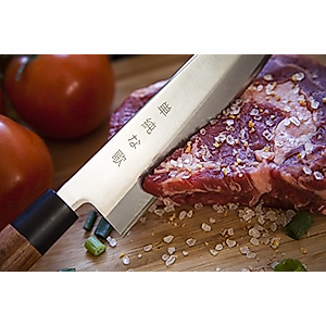 Traditional Japanese Professional Gyuto Kitchen Chefs Knife – Premium 8-inch High Carbon Stainless Steel Gyuto Sushi Knife with High Corrosion Resistance in a Single Bevel Chisel Edge Grind