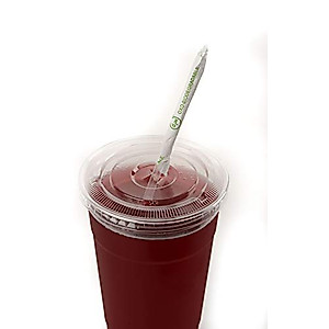 [300 Pack] Clear Biodegradable Plant Based Wrapped Straws - BPA Free - Eco Friendly Straws - biodegradable - 100% Compostable - Drinking Straws Great for Parties, Office, Restaurants (1 Box)