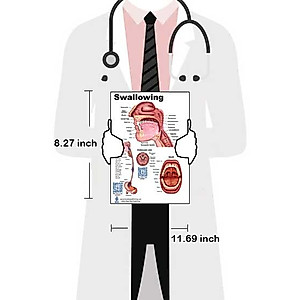 Blue Tree Publishing Swallowing anatomy education With QR Codes to see active animation (A4 laminated chart)