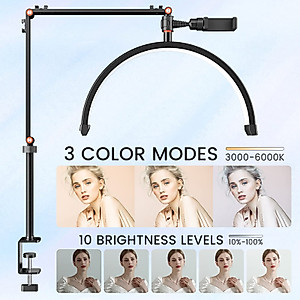 cenoz Lash Light for Eyelash Extensions, Estheticians Light, Half Moon Lash Lamp, Eyelash LED Desk Lamp, Lighting for Beauty, Skincare, Lashes, Eyebrows, Filming, and Content Creation(Black