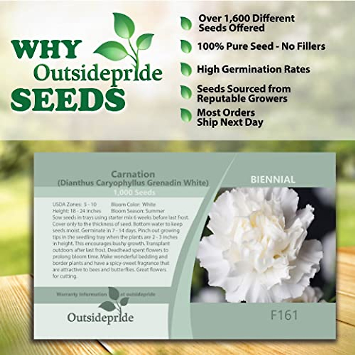 Outsidepride Dianthus Caryophyllus Carnation White Garden Cut Flower Seeds - 2000 Seeds