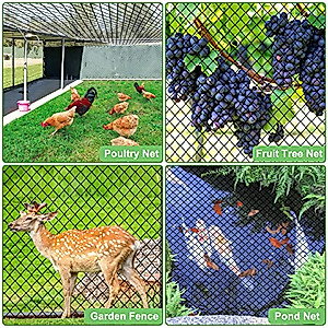 Bird Netting, Garden Netting with 3/4” Mesh Net as Poultry Netting for Chicken Coop, Heavy Duty Nylon Netting for Garden Protection, Fruit Tree Netting for Orchard, Vegetable Against Squirrels, Deer