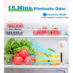 NEWEST [4 in 1] Fridge Deodorizer - Refrigerator Air Freshener Reusable Fridgerator Deodorizer Odor Eliminator Outperforms Baking Soda for Fridge and Freezer & Bamboo Charcoal Air Purifying Bags