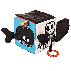 Manhattan Toy Wimmer-Ferguson Learning Cube Multisensory Soft Baby Activity Toy