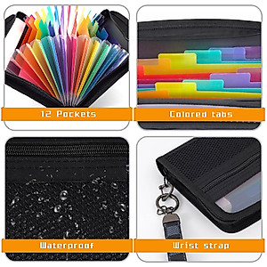 REEMTOO Receipt Coupon Organizer, 12 Pockets Small Accordion File Organizer, 11x 6.6 Inches, Small File Folder for Receipt Cards, Bill Business, Coupons, Zipper Closure.