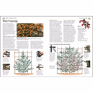 Pruning and Training, Revised New Edition: What, When, and How to Prune
