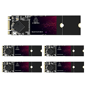 Kingshark gamer M.2 SSD 64GB SATA III 6 Gb/s, (2280mm) Internal Solid State Drive - Compatible with Desktop PC Laptop (M.2 2280, 64GB*5Pack)