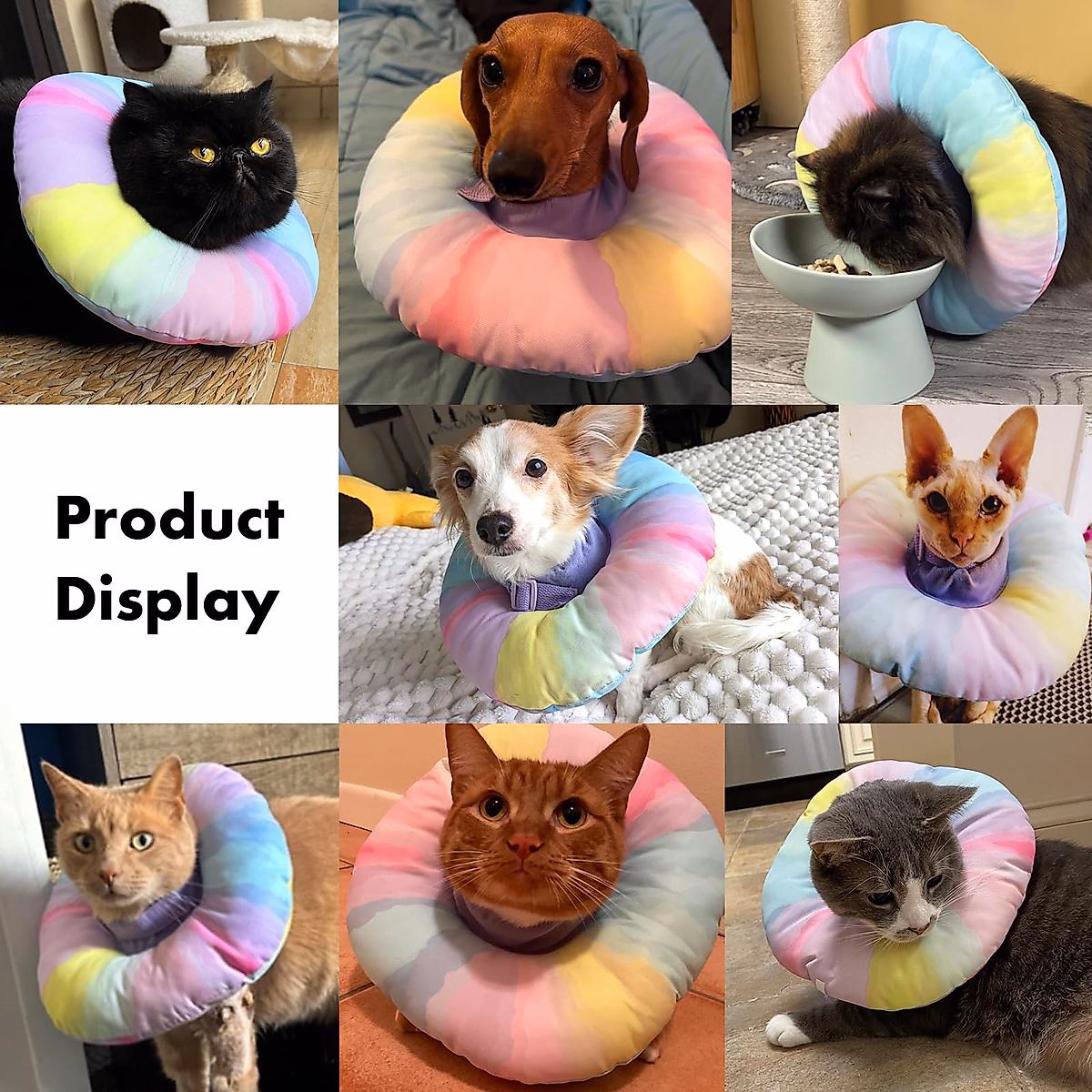 EWES Cat Cone Collar Soft M Size Alternative Neck Cones to Stop Licking for Cats Dogs Kitten Comfy Elizabethan Collars After Surgery Neuter Cat Dog Donut Collar for Pet e Collar Recovery Shame