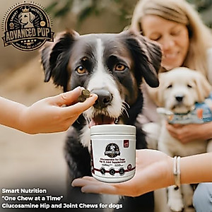 AdvancedPUP Dog Hip and Joint Care Supplement - Glucosamine Dog Joint Supplement - Dog Hip & Joint Care with Chondroitin, MSM, Turmeric for Dog Joint Relief - Healthy Natural Tasty Bacon – 90 Count