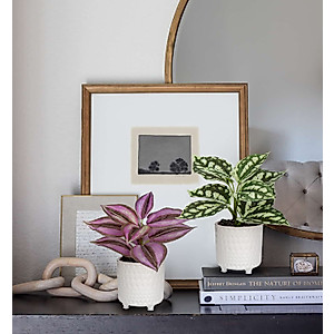 DILATATA 2 Packs Small Fake Plants for Decor Artificial Plants in Ceramic Pot 7.5" Faux Potted Plants Eucalyptus for Home Decor Table Centerpiece Living Room