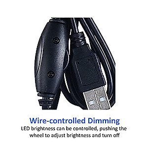 CZDYUF Professional Handheld USB Digital Microscope 500X 2MP Electronic Endoscope Adjustable 8 LED Magnifier Camera with Stand (Color : D, Size : 500X)