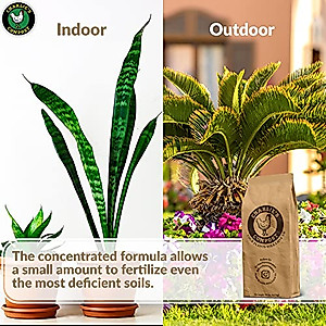 Charlie's Compost: Concentrated Organic Plant Fertilizer to Improve Garden Soil and Potting Soil in Fruit and Vegetable Garden - with Biochar (10lb)