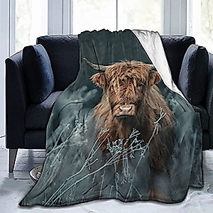 ASYOURWISH Ultra Soft Flannel Brown Cow Throw Blanket Highland Cattle Landscape Rustic Farmhouse All Season Warm Lightweight Cozy Plush Bed Blankets for Living Room/Bedroom 80"x60"