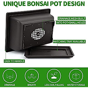 Meekear 5 Bonsai Tree Kit with Complete Plant Growing Tools, Grow in Pot Indoor Bonsai Tree Starter Kit, Home Gardening DIY Gift for Adult