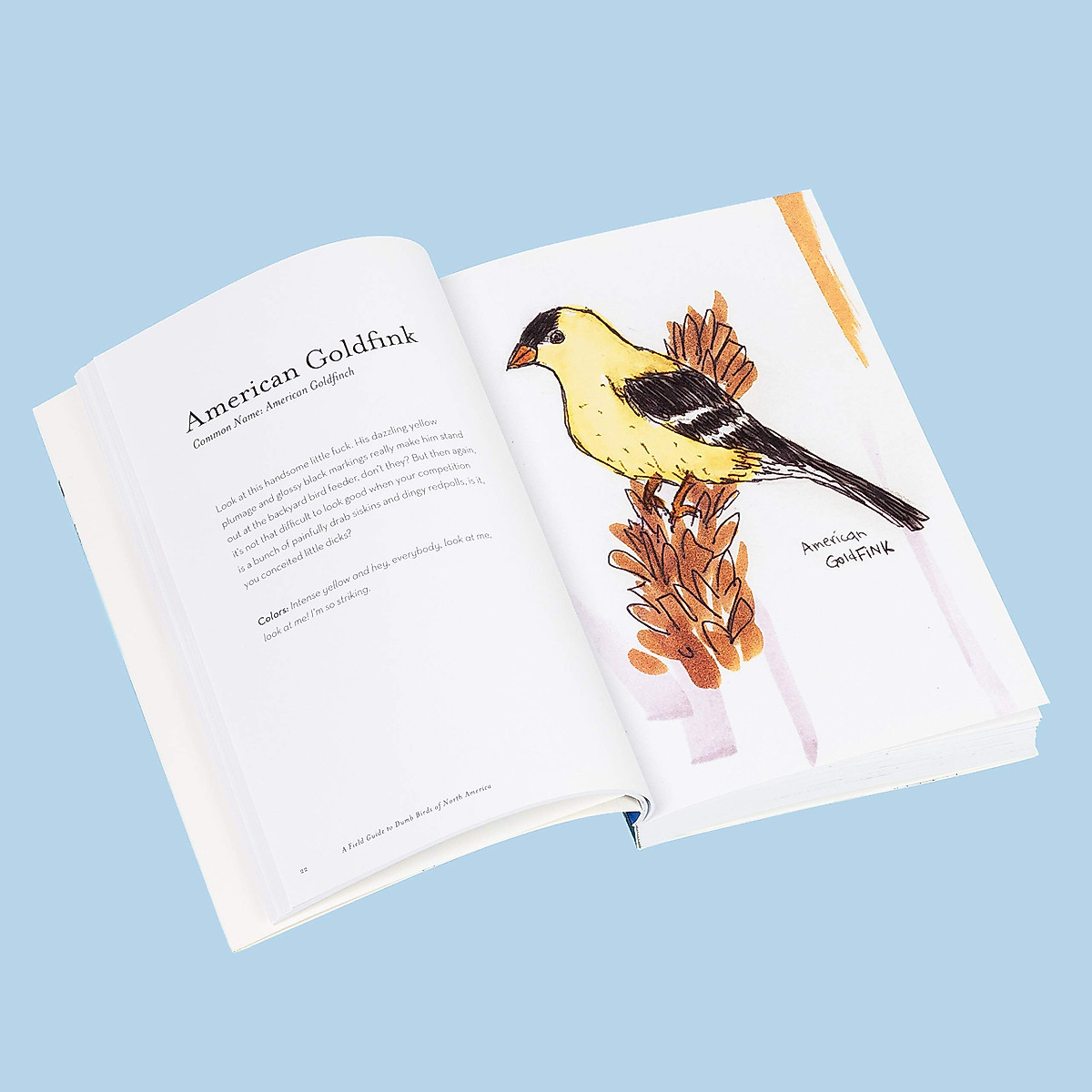 The Field Guide to Dumb Birds of North America (Bird Books, Books for Bird Lovers, Humor Books)