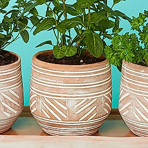 Gold & Garden Bangladesh Small Rustic Geometric Round Terracotta Pot Set with Tray