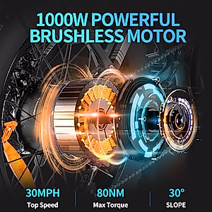 Ridstar Electric Bike for Adults, 1000W 48V 15Ah 30MPH 50 Miles E Bike, 20" x 4.0 Fat Tire Mountain Bike Dual Shock Absorber 7-Speed Foldable Bicycle